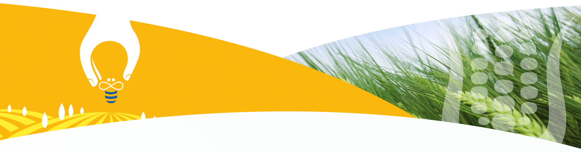 Accueil - Agrosolutions