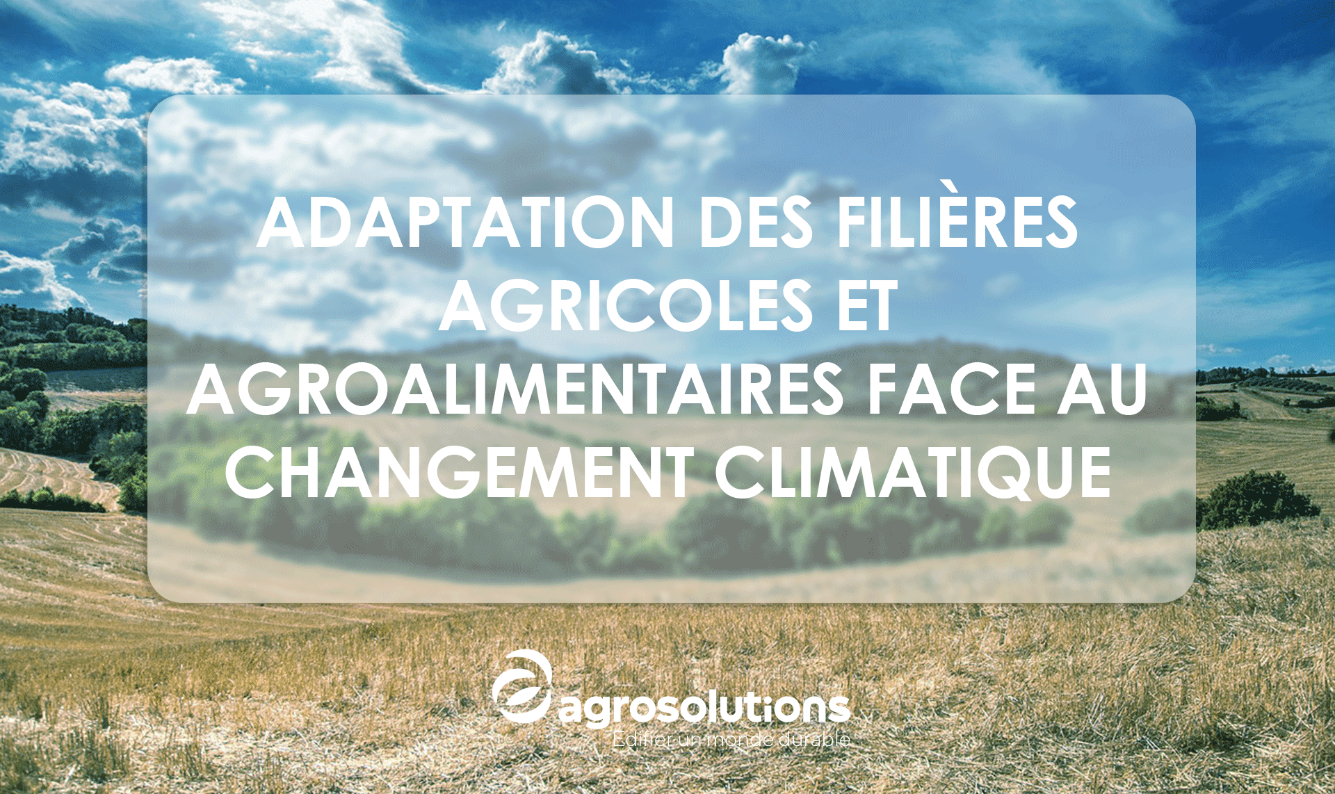 Adaptation des filières agricoles et agroalimentaires face au ...